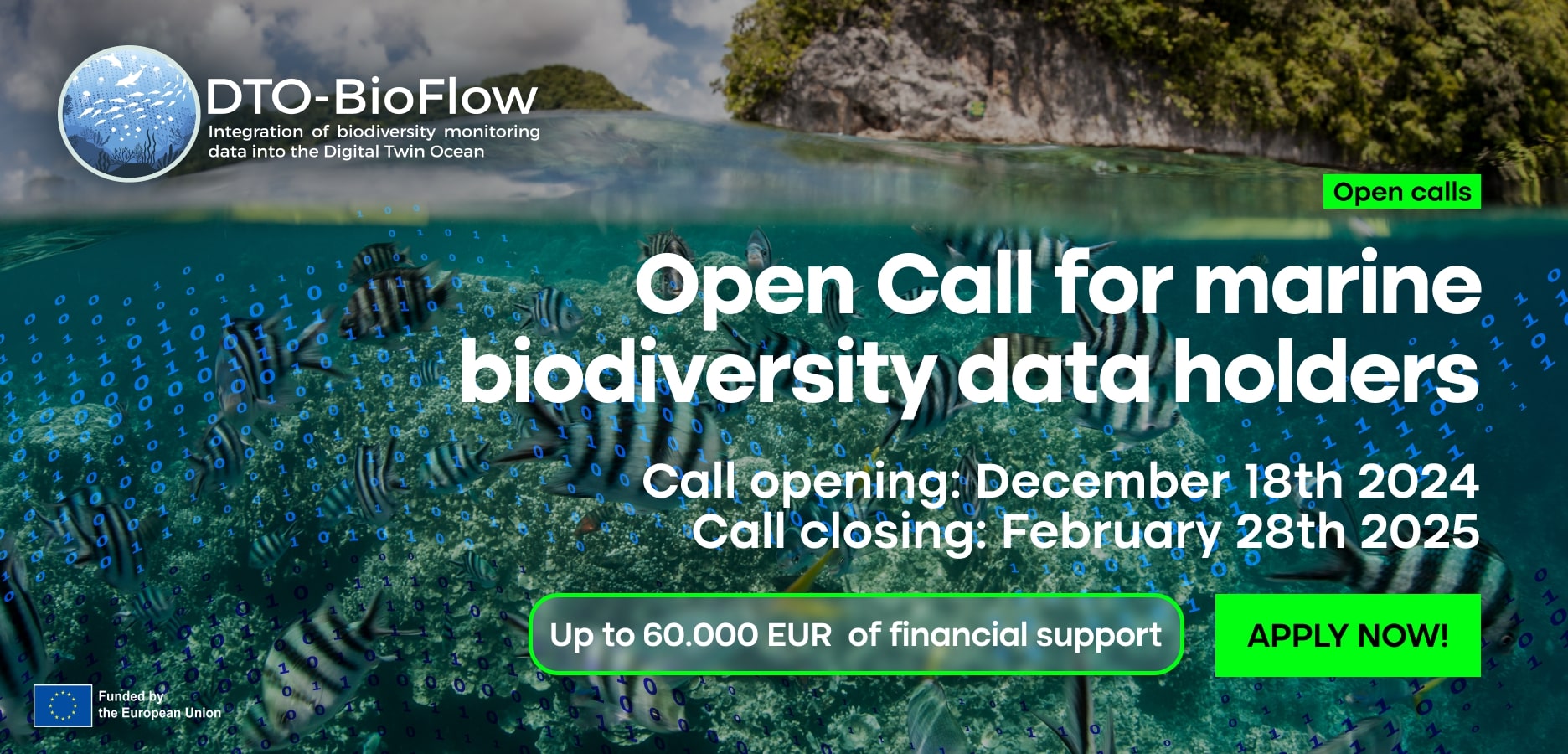 Building the digital replica of our seas: DTO-BioFlow Project launches a Second Open Call to ...
